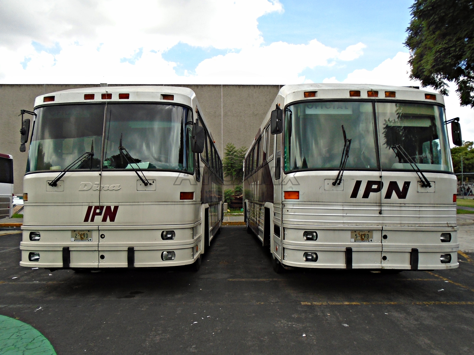 AYCAMX - Autobuses y Camiones México : Autobuses Turismo 125. Instituto Politécnico Nacional ...