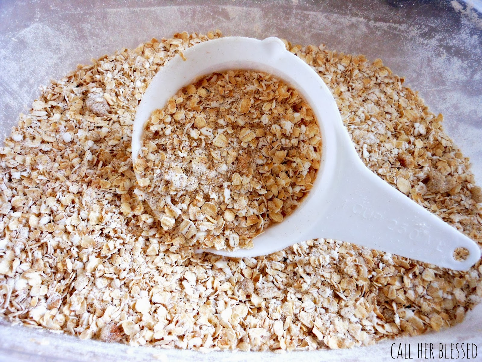 If The Creek Don't Rise: DIY Instant Oatmeal