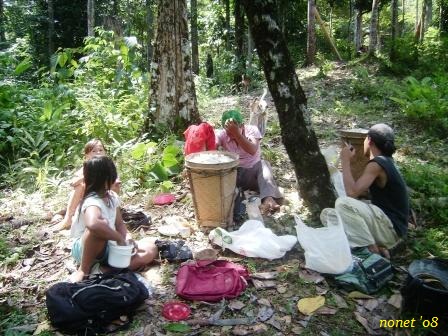 Masyarakat Repong Damar, Pahmungan Lampung Barat | WAY HOME