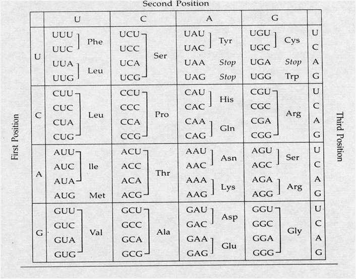 Transfer Materi Genetik