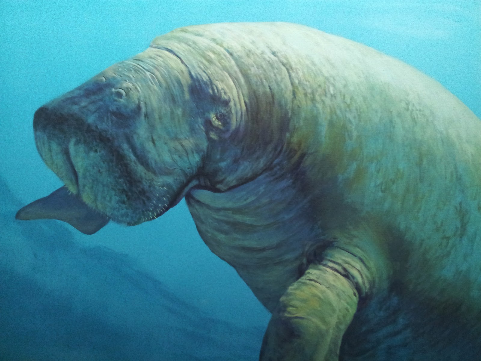 semifreelife: everyone loves Snooty