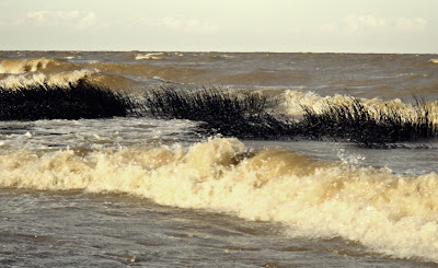 Orilla del Río de la Plata : Visto en Baires