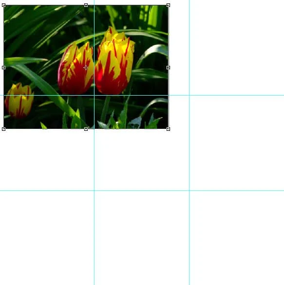 PhotoEffect How To Make A Grid Collage In Photoshop photoeffect-how-to-make-a-grid-collage-in-photoshop