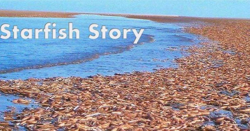 Learning-Living [learning-living.com]: THE STAR THROWER - ONE STEP ...