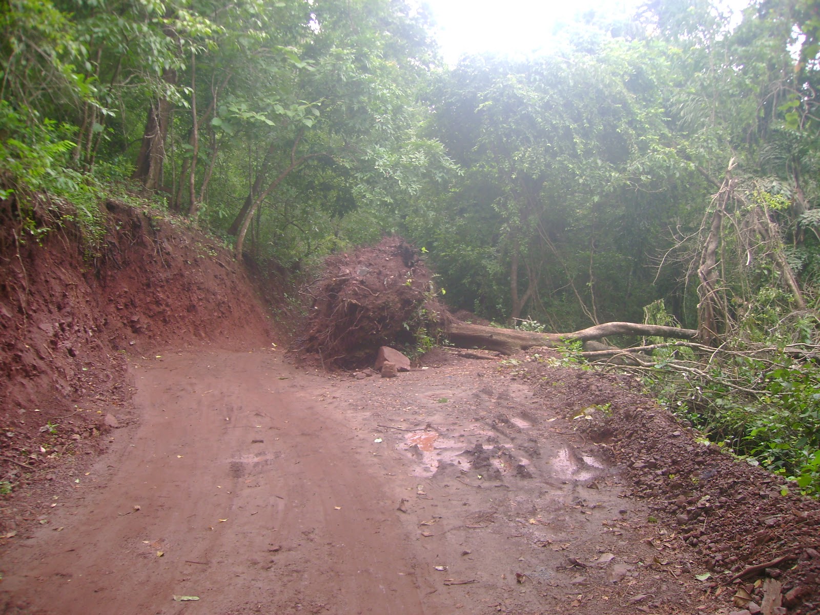 Explore and Conserve................................: Visit