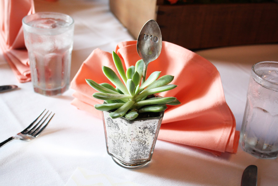 Oh Louise!: A Succulent Bridal Shower!