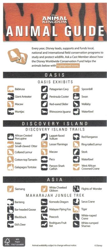 Main Street Gazette: Study and Protect Wildlife