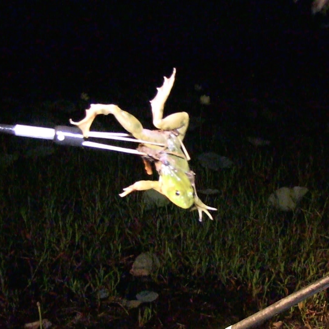 We Live In A Political World: #105 / The Gig Economy #3