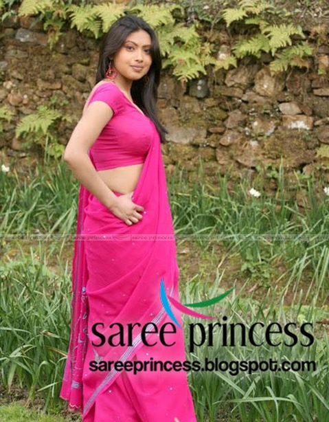 South indian actress Srijana shocking exposure in pink sari stills