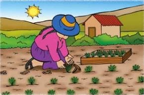 BIOHUERTO GRUPO#4 [ 4TOB]