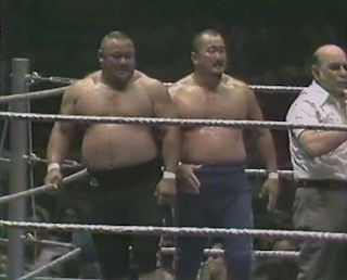 WWWF MSG (August 1, 1977)