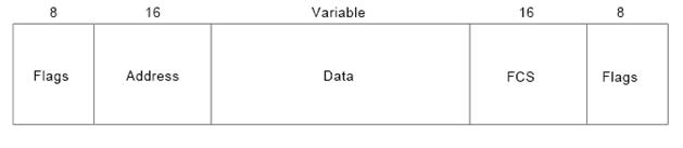 Data communication & Networking: Frame Relay Frame Format
