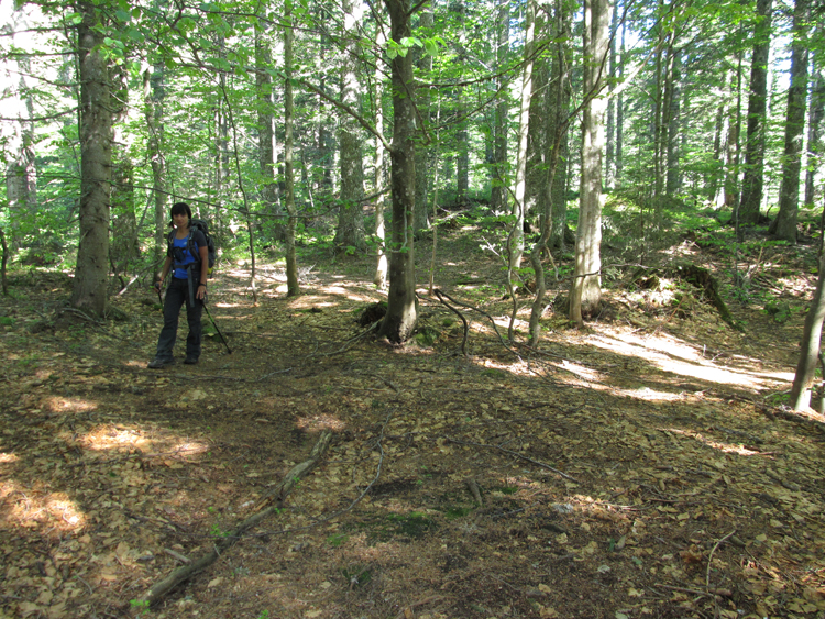Escursionismo a 360°: Alpe Tre Potenze e Gomito (per il Lago del Greppo) EE