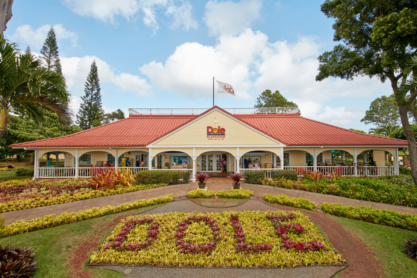 Fun Family Activities For The Holidays ~ Dole Plantation