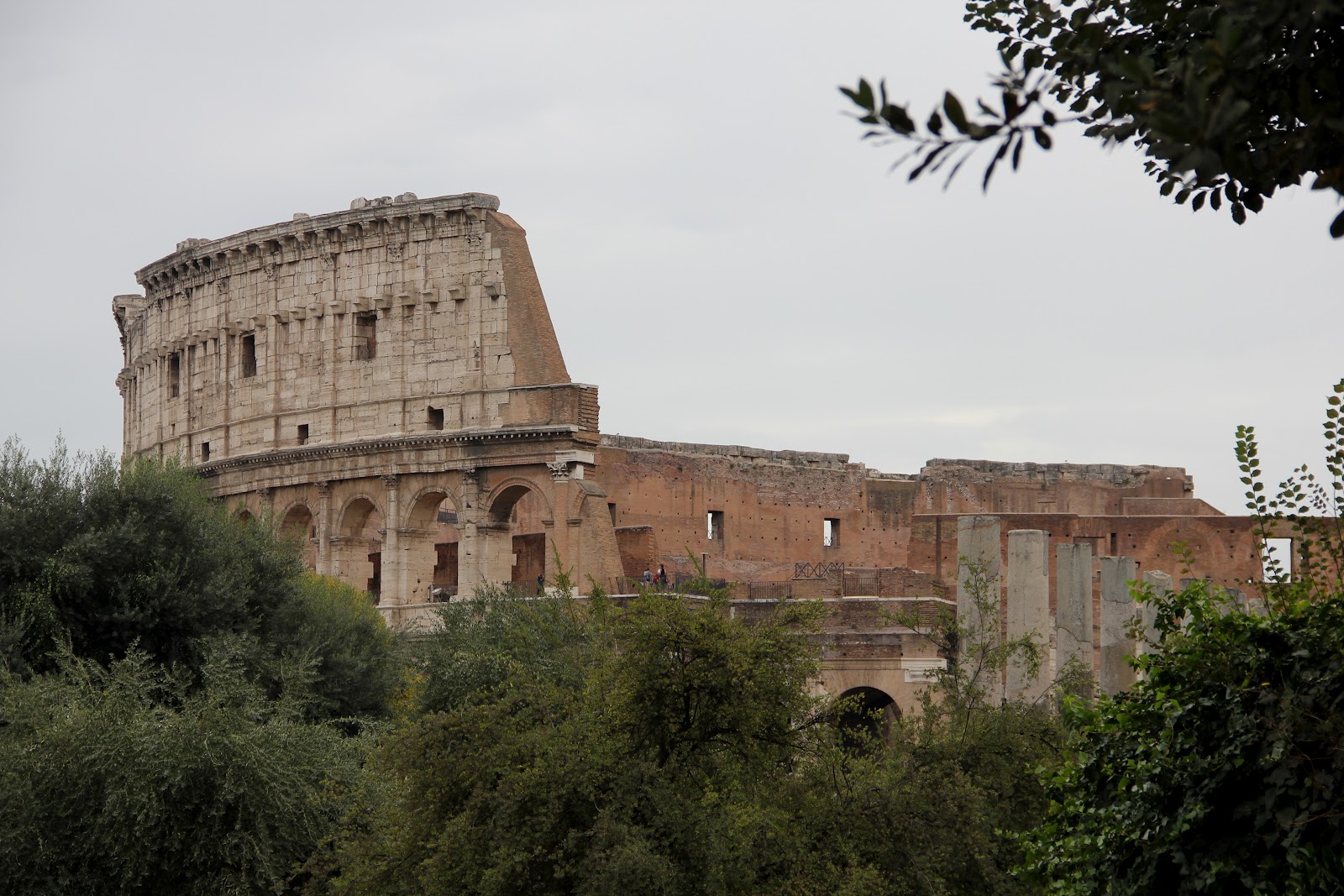 Reeds Around the World: Imperial Rome