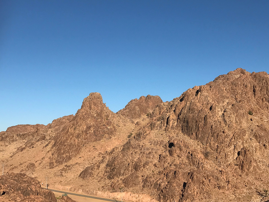 Birds of Saudi Arabia: Jabal al-Lawz