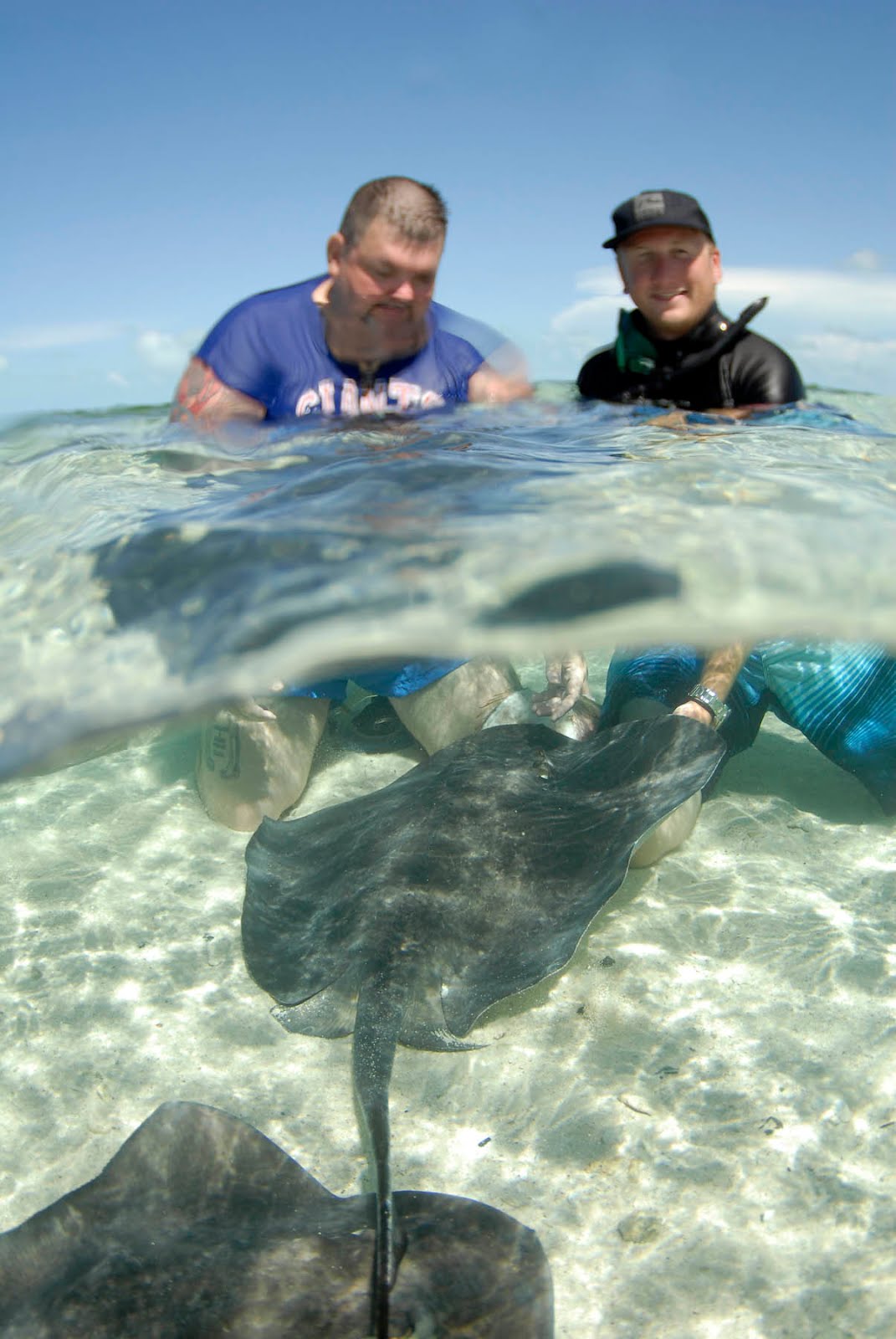 THE ADVENTURES OF SHARK GIRL : Bimini Blast: Our STAYcation Part II