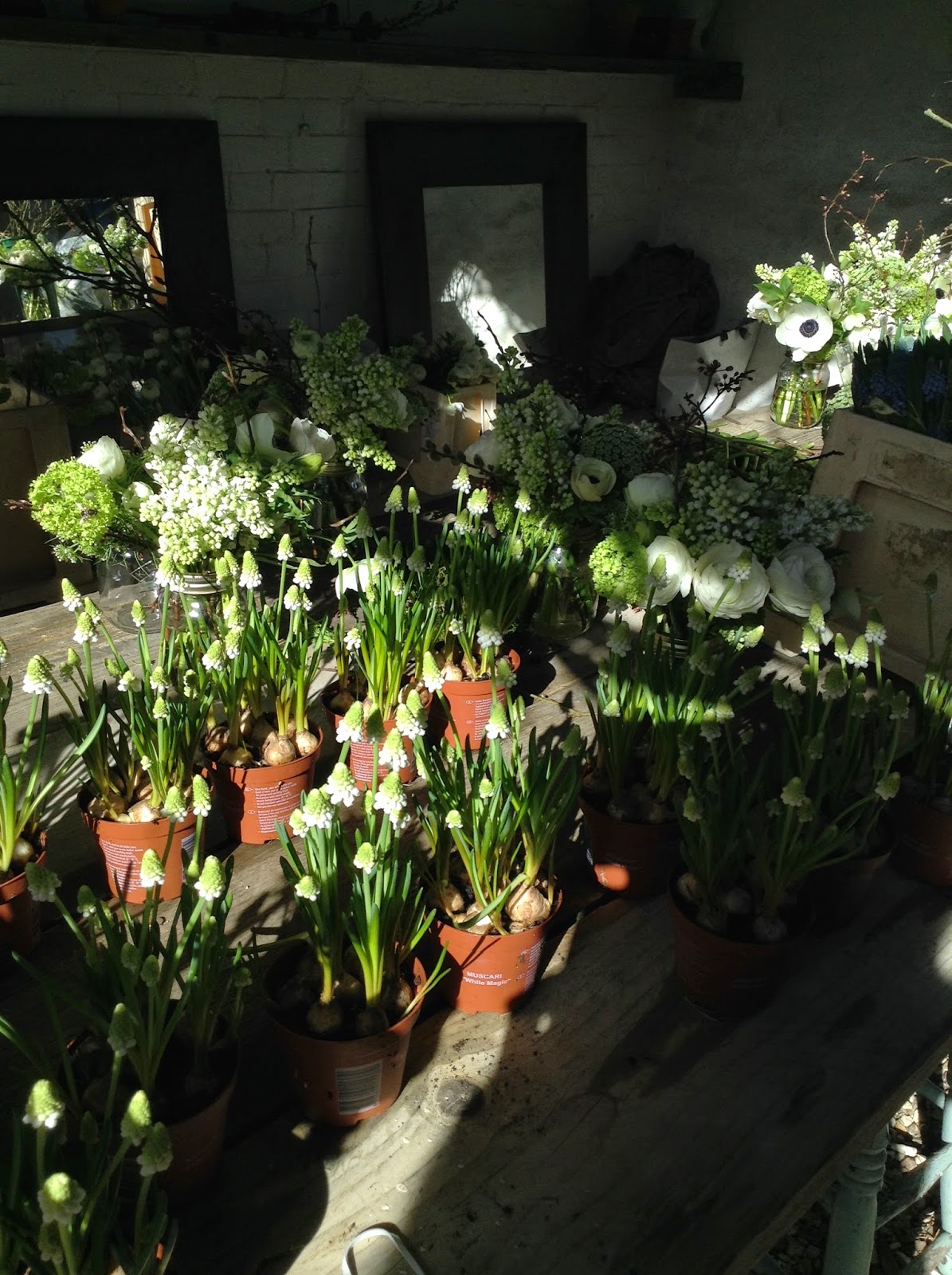 Willow Rose: Mulberry Lunch Flowers