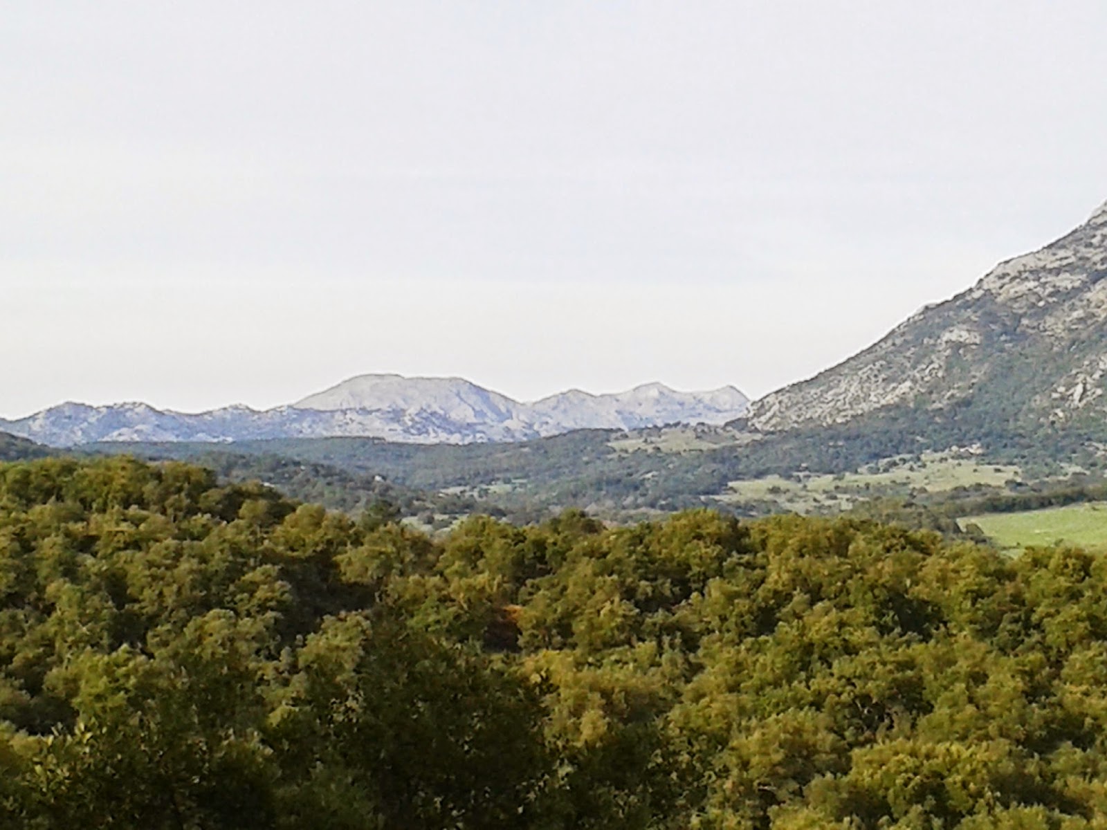 PueblosBlancosDiscoveryTours: El Colmenar Estación de Gaucín