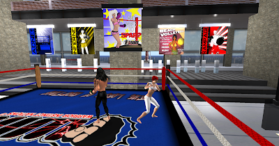 Boxing in Second Life: It's a real knockout –Sarahelisebeth Brenham ...