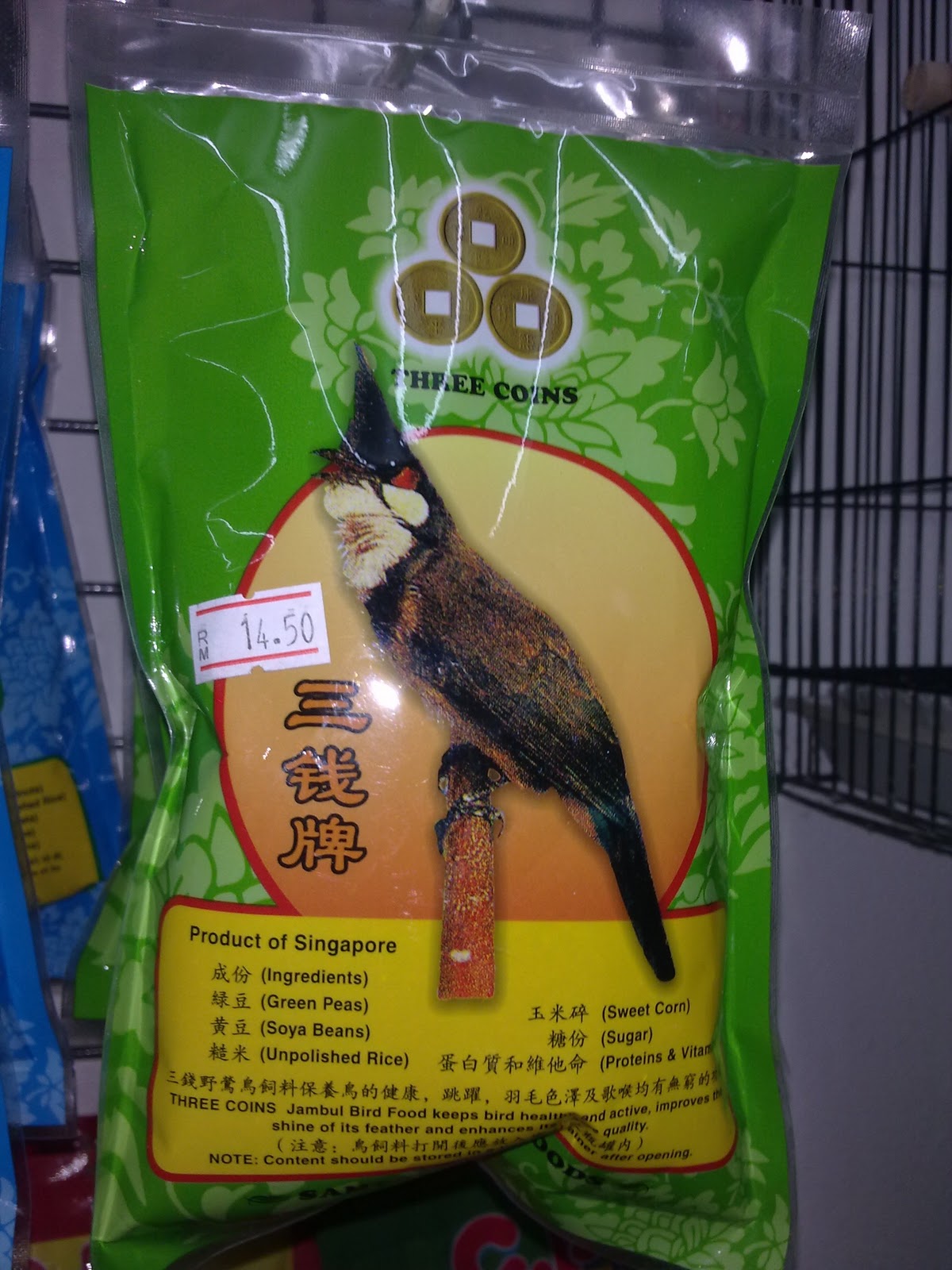 Murai Utara: Makanan Pilihan Burung Kesayangan Anda