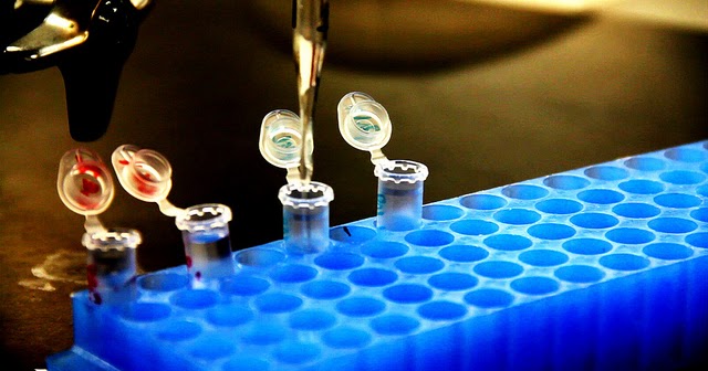 GM-free Scotland: CRISPR/Cas9 gene editing