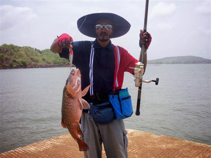 lets go fishing: Lets Go Fishing