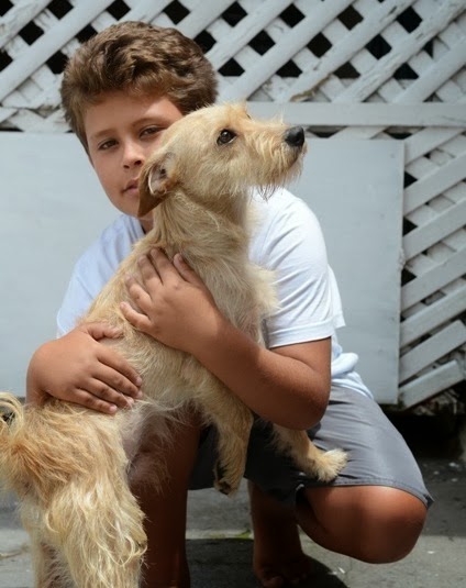 White Wolf : A young boy runs into traffic to rescue a dog that was hit ...