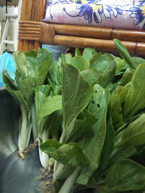 Highlight of The Month: Feb 2019 - Za'chomics