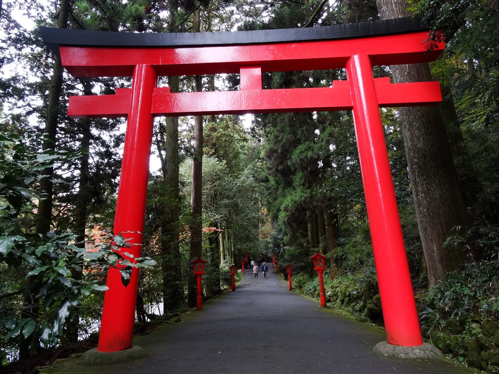 WEBS OF SIGNIFICANCE: Torii and more at Hakone Jinja