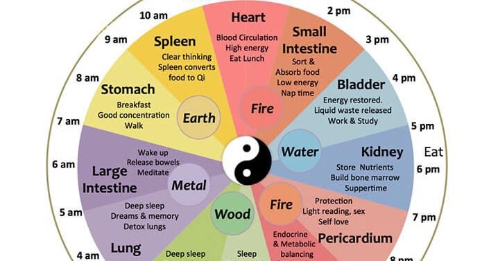 Hands On Healthy: Acupuncture Meridian Cycle Chart