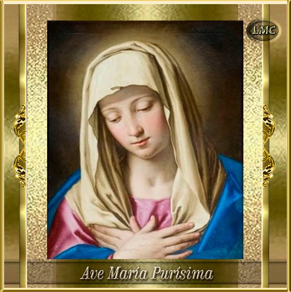 ® Blog Católico Gotitas Espirituales ®: SANTA MARIA REINA DE TODO LO CREADO