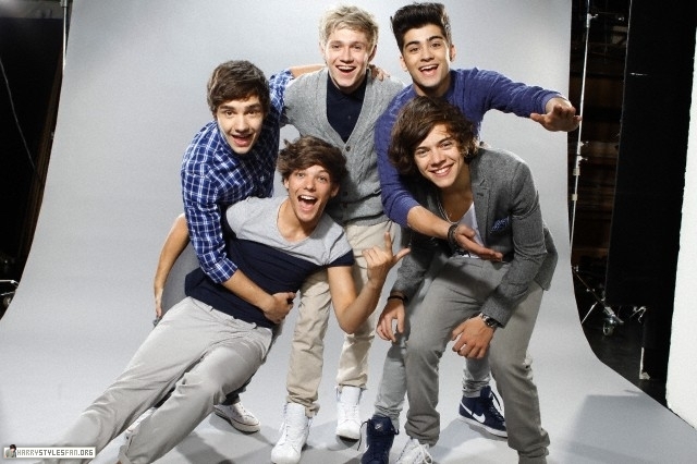 Poland One Direction: Sesja SNL