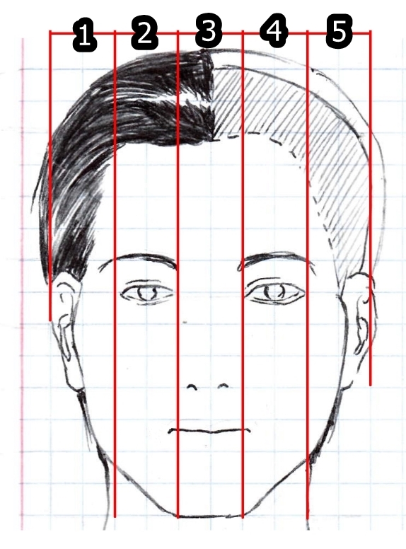 Proporciones del rostro Realista | Proyecto Manga