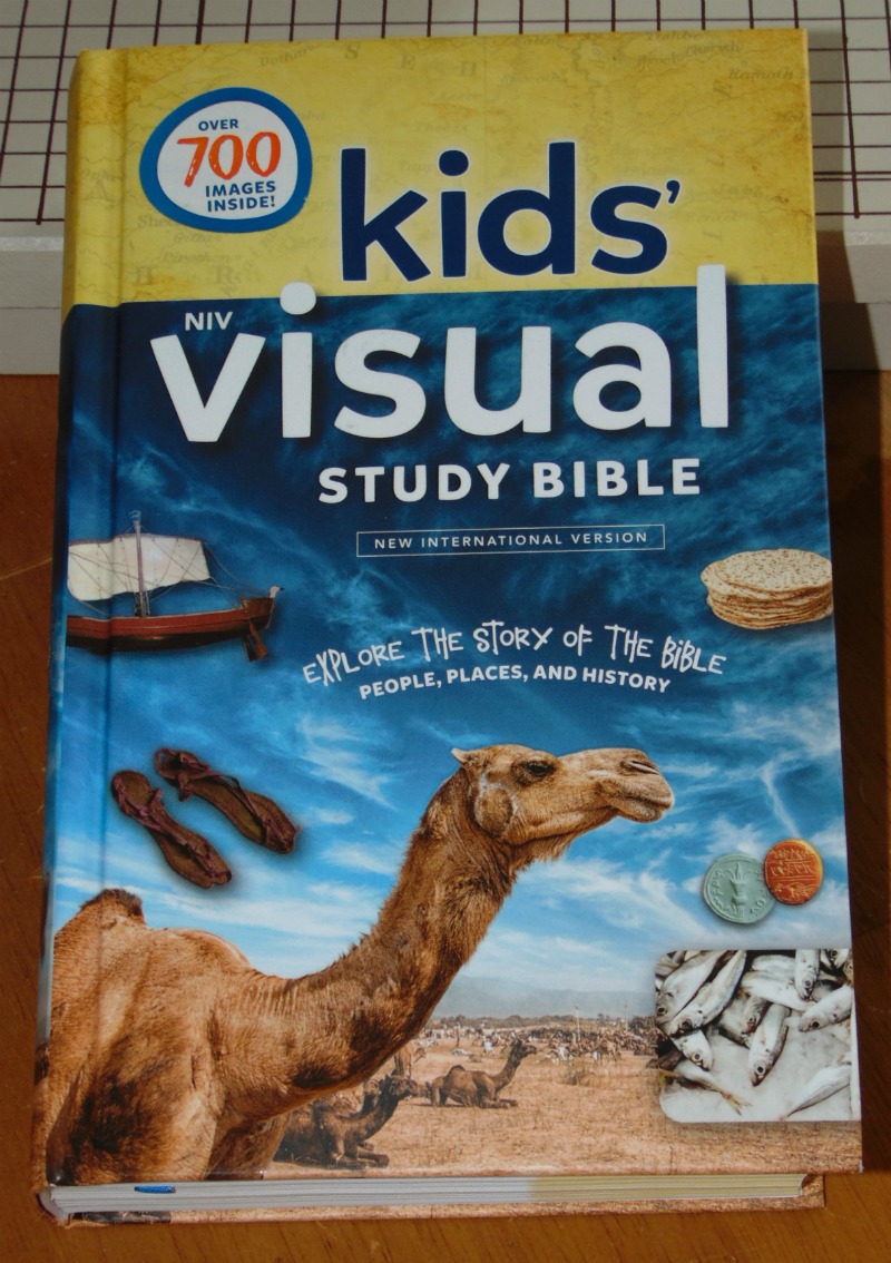 Review: Kids NIV Visual Study Bible - A Net in Time
