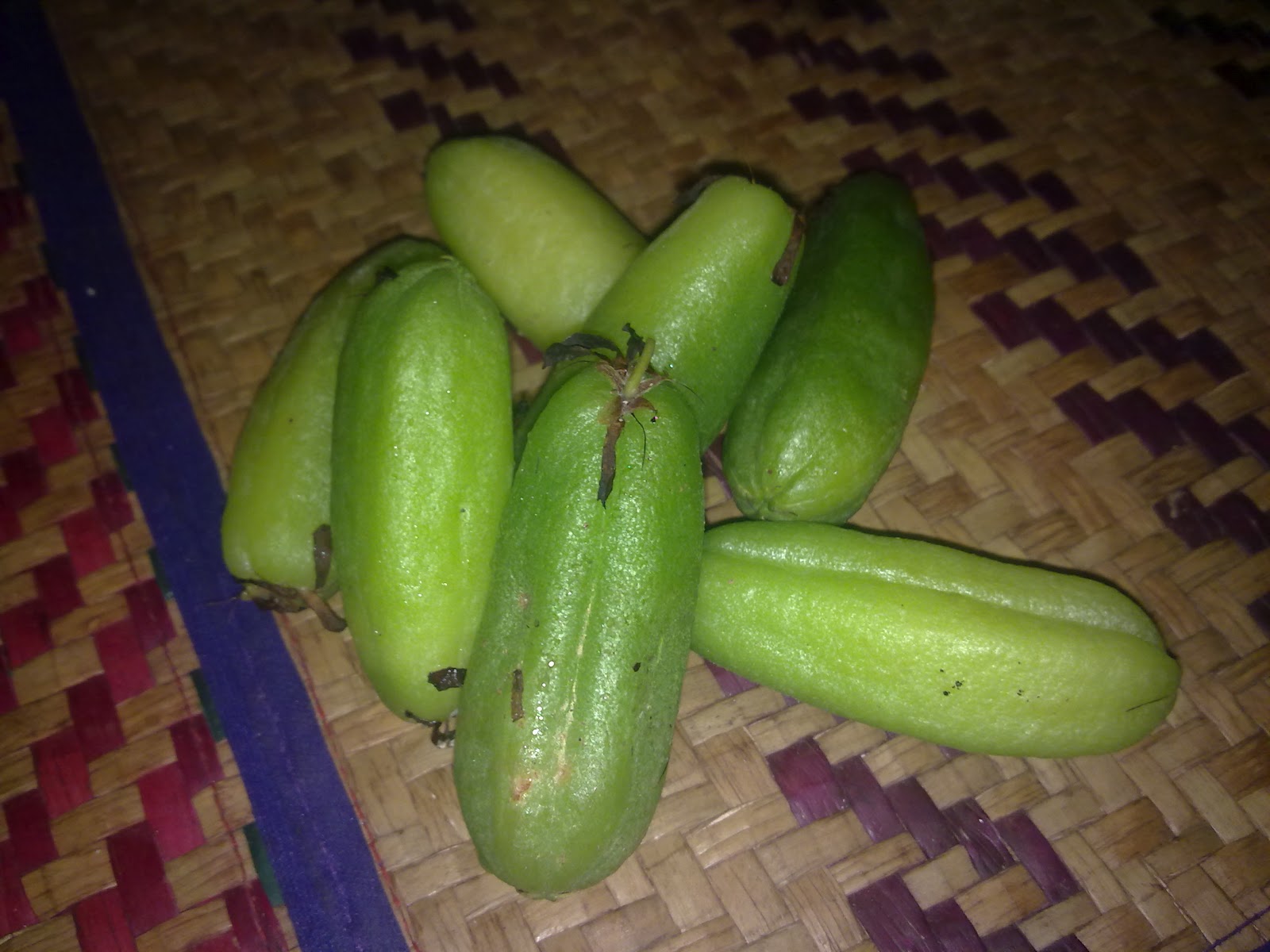 my mintroom: Belimbing Buluh