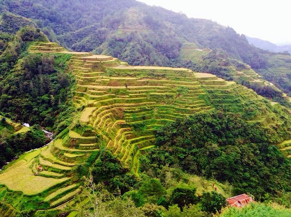 The Banaue Rice Terraces: A Living Cultural Landscape