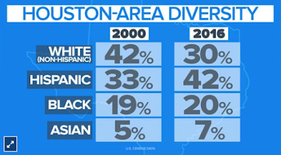 Weeks Population: Houston's Demographics Revealed by Hurricane Harvey