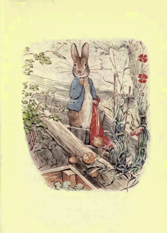 Slikanice za otroke (in odrasle): Izbrane povesti Beatrix Potter