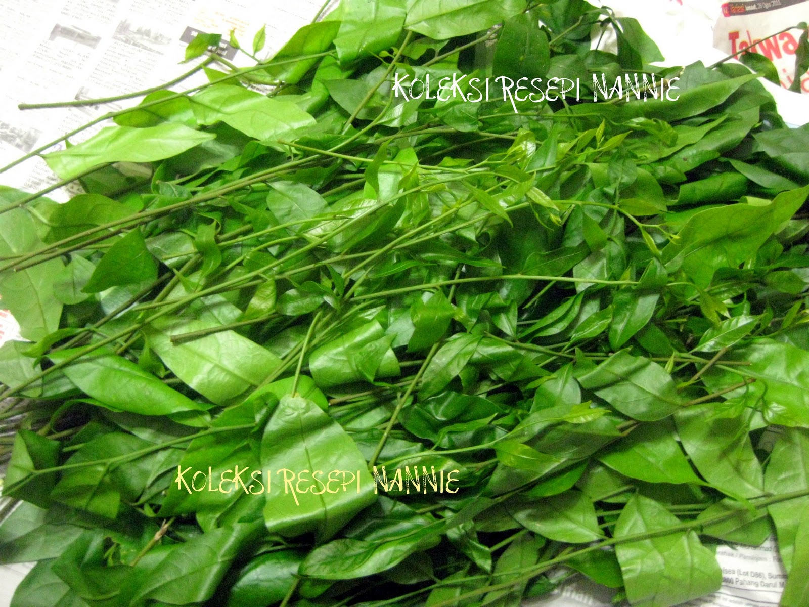 RESEPI NENNIE KHUZAIFAH: SAYUR-SAYURAN DARI KAMPUNG..