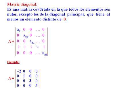 MATRICES: Determina y clasifica matrices según sus características ...