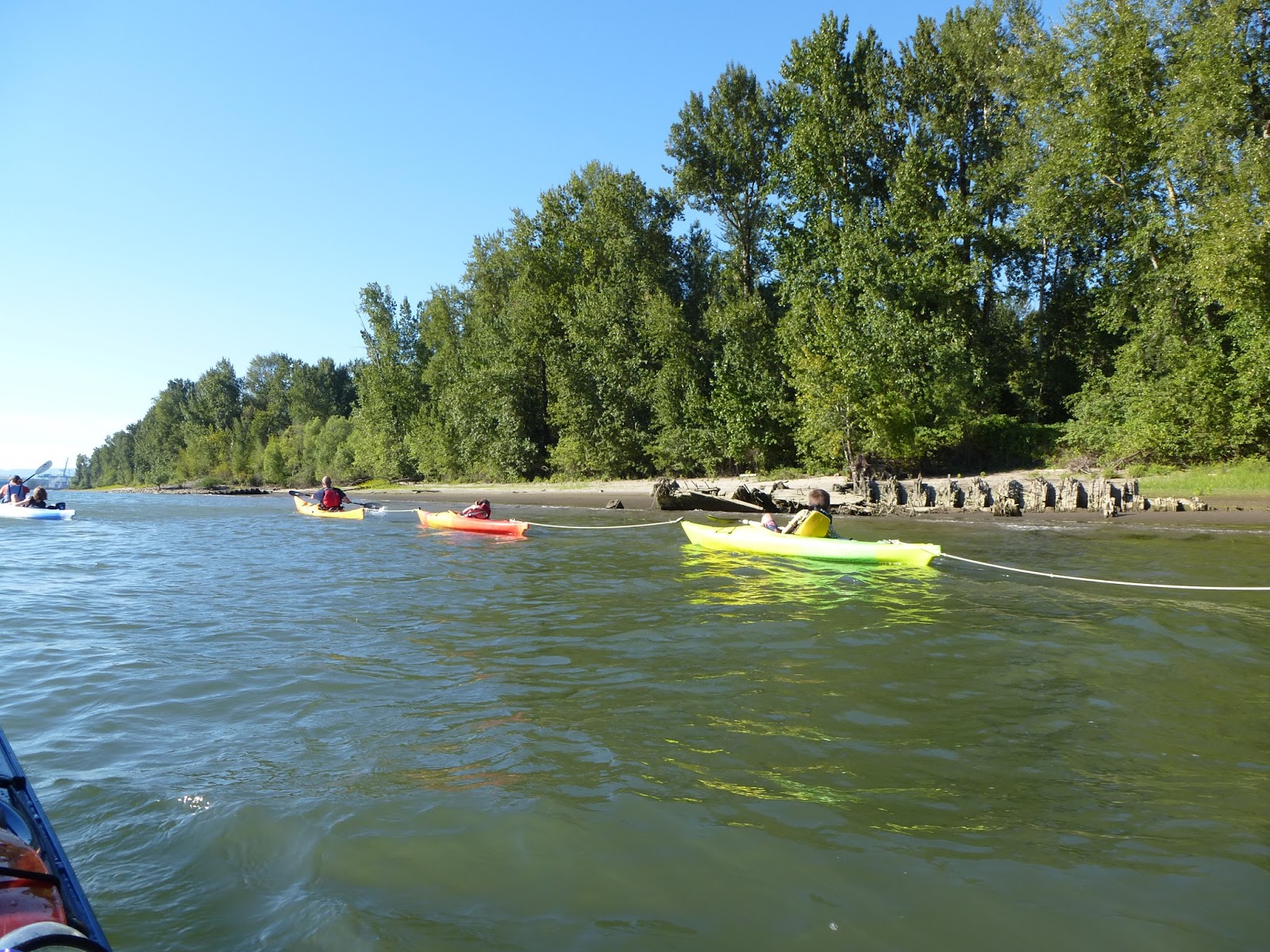 Hiking Oregon: Agate Hunting: Hayden Island