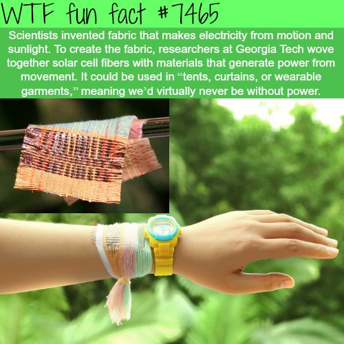 30 Random Facts That Will Simply Astonish You | Amazing WTF Facts