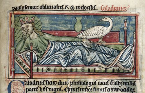 Caladrius (Fungsi dan Perawatan) ~ Crystalangra