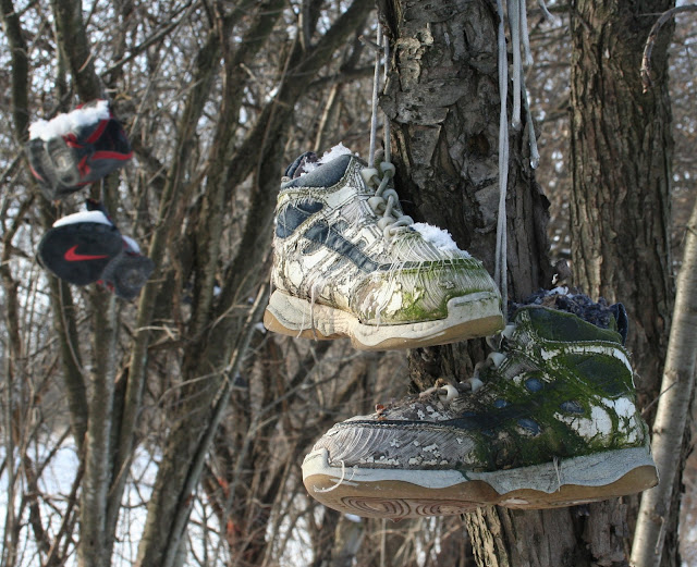 The Carpetbagger: My Quest for a Shoe Tree