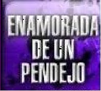 Tu envidia alimenta mi ego