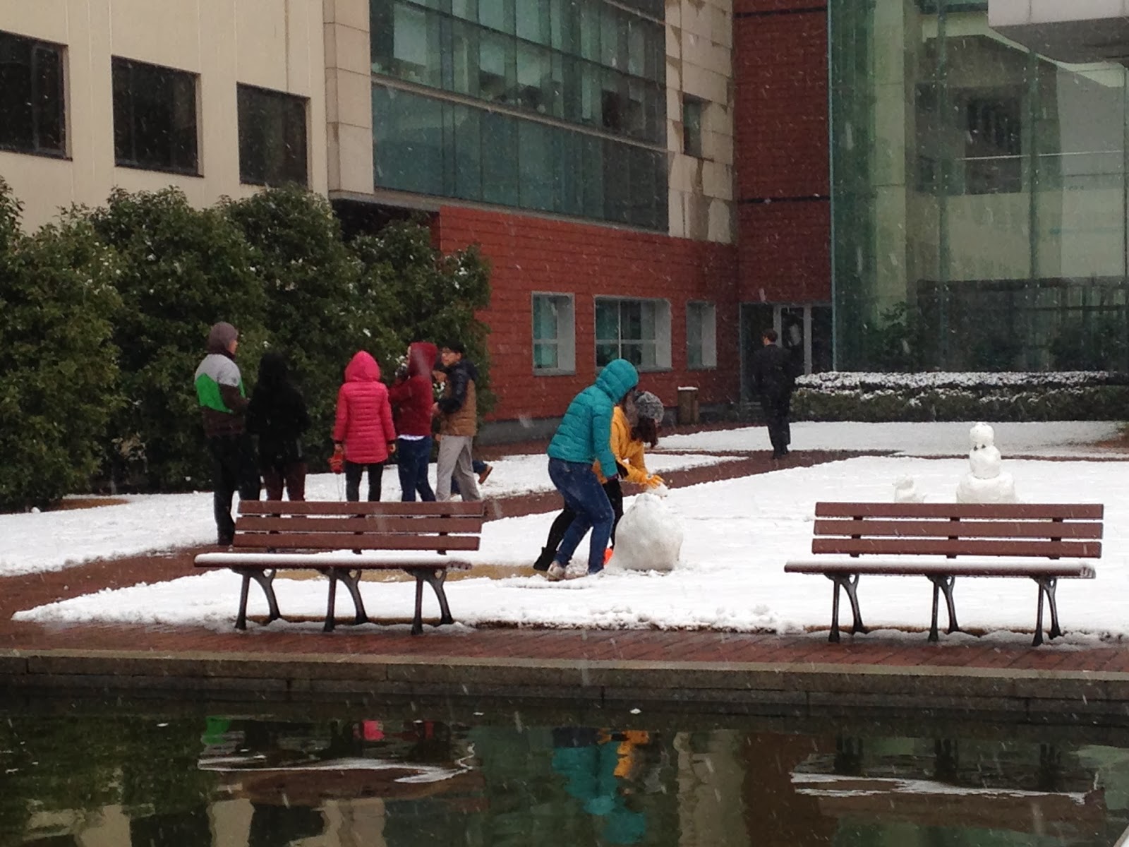 Hopkins-Nanjing Center Blog: Snowy Start to the Spring Semester