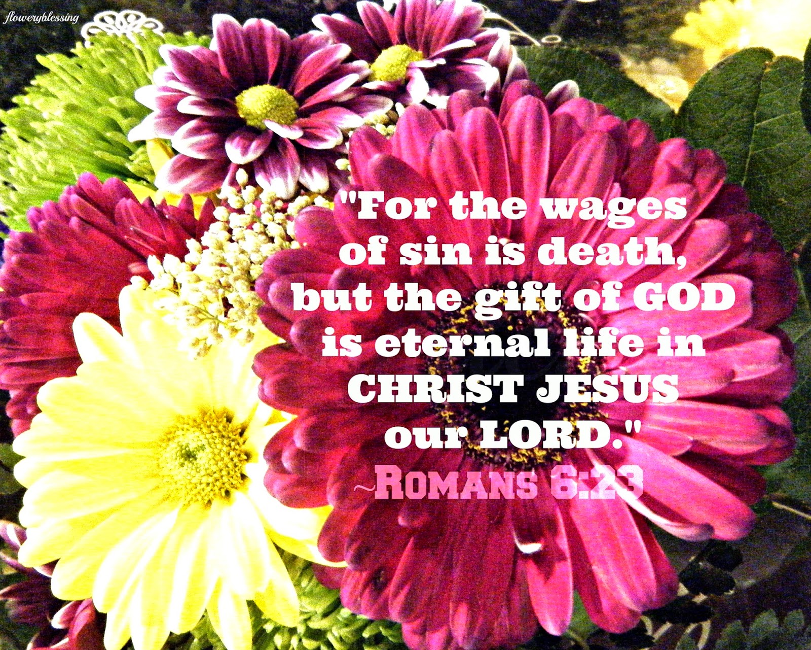 Flowery Blessing: "For the wages of sin is death, but the gift of GOD ...
