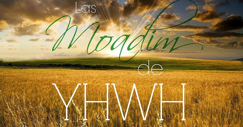 Torah Básica: Las Moadim Del Shaddai