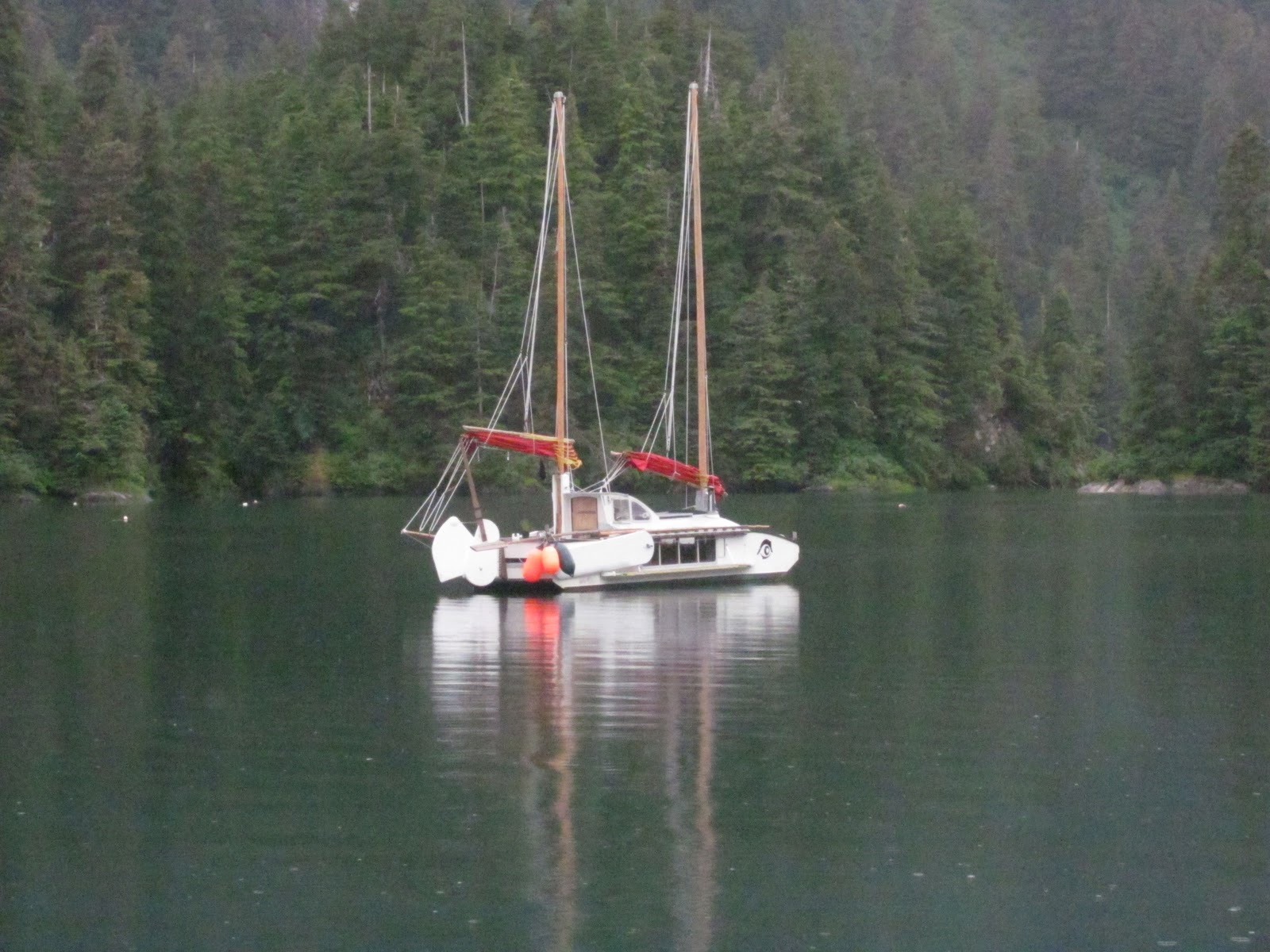 TriloBoat Talk: A Window on Our World